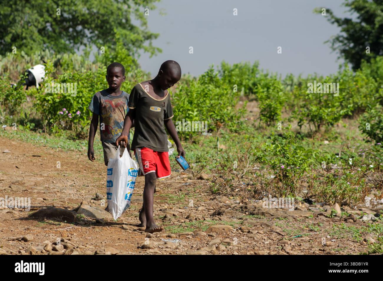 African small poor children boys and girls on the street. Slum african ...