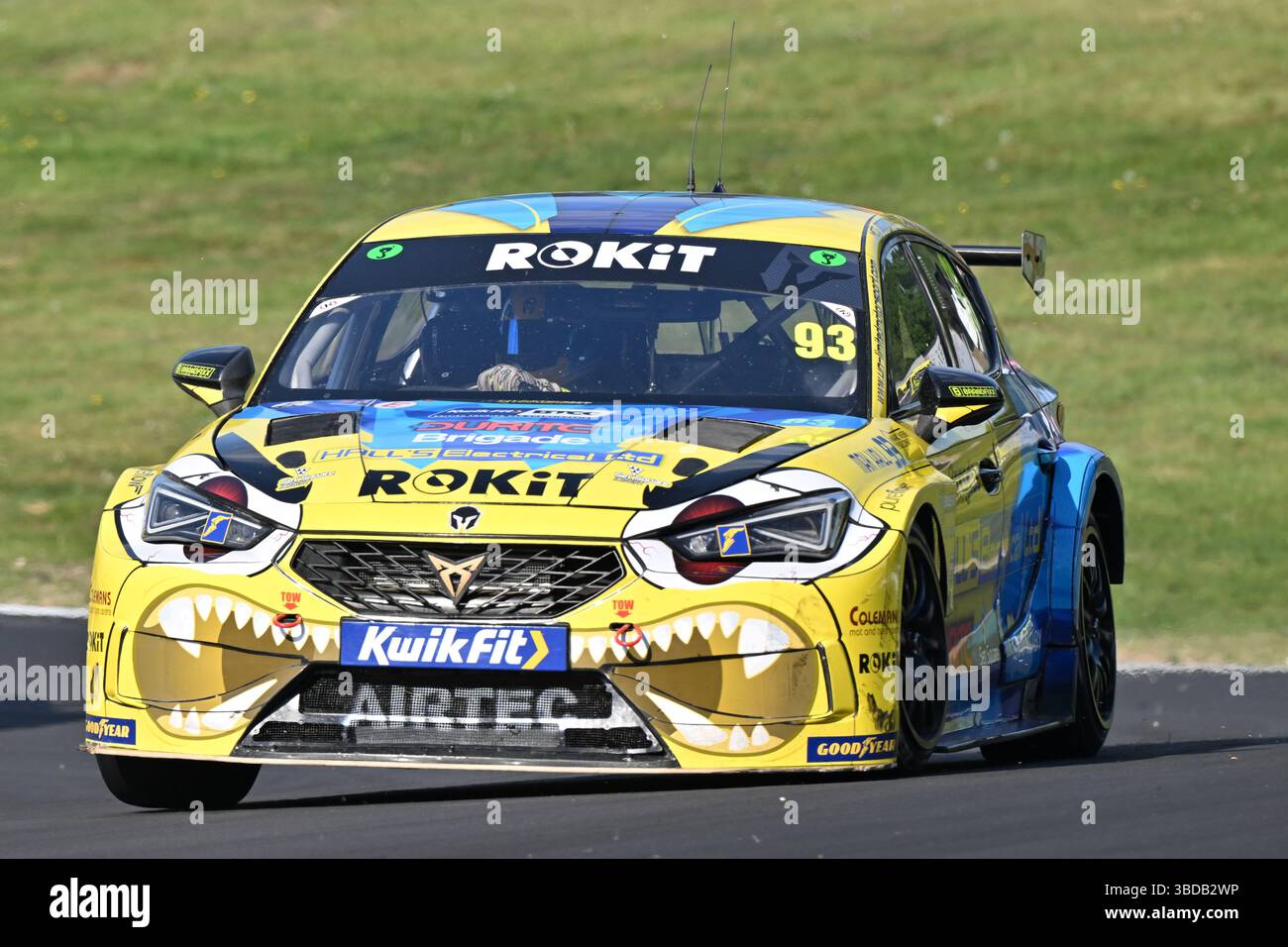 Max Hall, Cupra Leon, ROKiT Racing with Un-Limited Motorsport, 2025 Kwik Fit Rounds 4, 5 and 6 ...