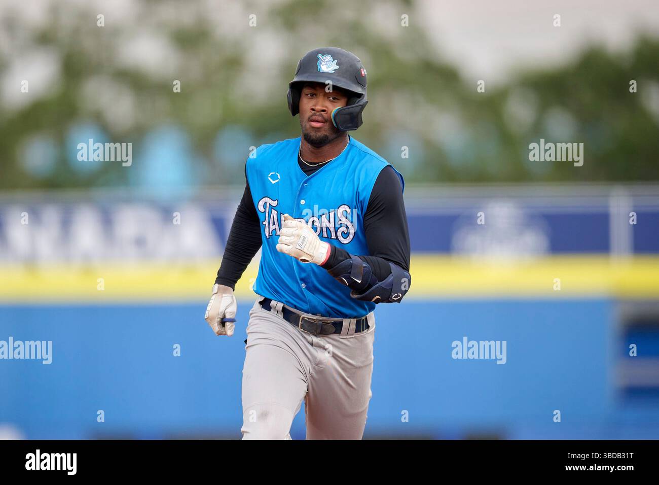 Tampa Tarpons Dillon Lewis (3) rounds the bases after hitting a home ...