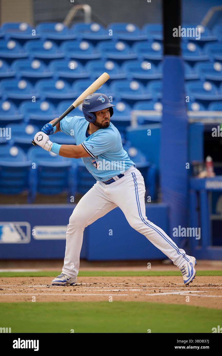 Dunedin Blue Jays Edward Duran (12) bats during an MiLB Florida State ...