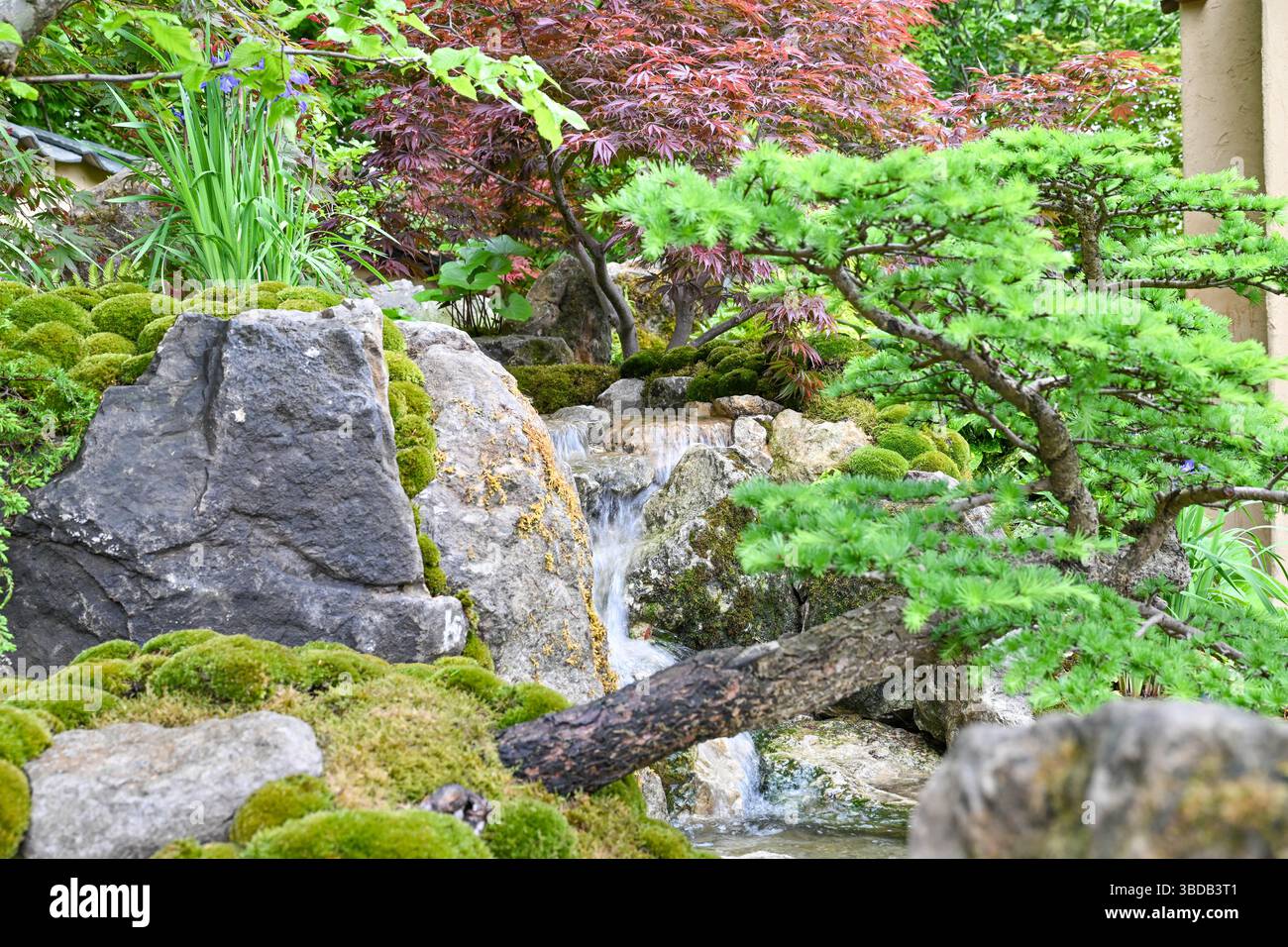 London, UK. 19th May, 2025. The Peoples Choice Best Show Garden, Cha No ...