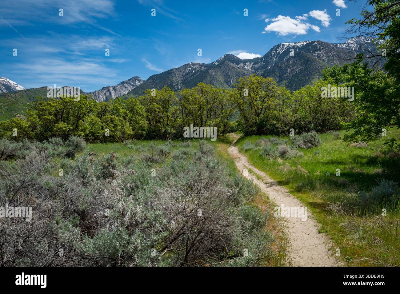 Hiking trail through Dimple Dell Park, Salt Lake City Utah USA Stock ...