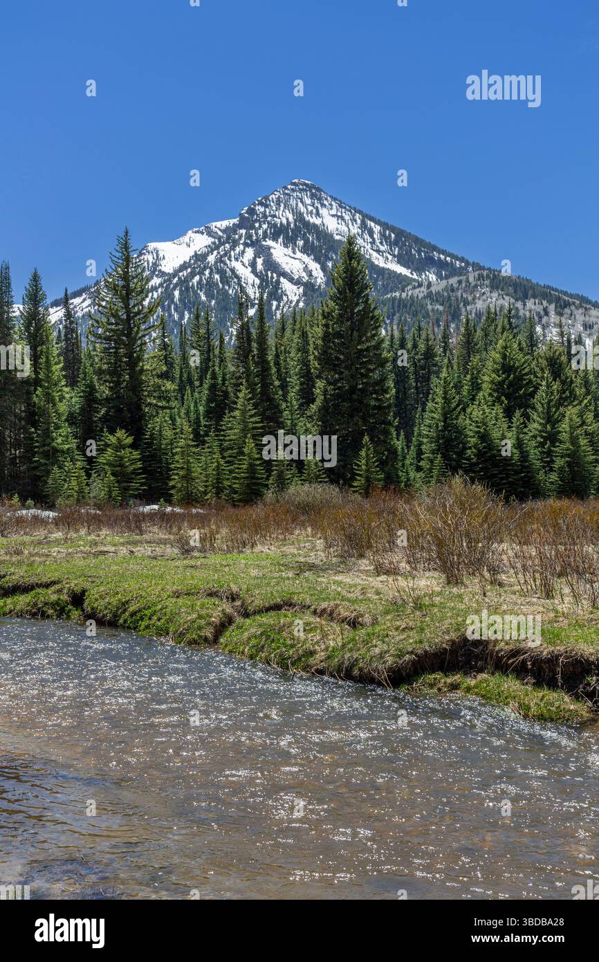 Beautiful mountain peaks tree hi-res stock photography and images - Alamy