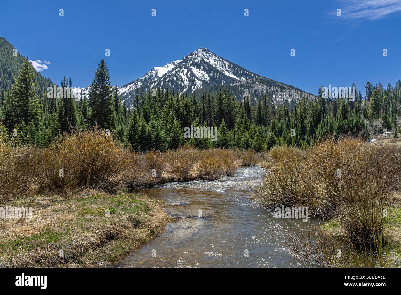 Beautiful mountain peaks tree hi-res stock photography and images - Alamy