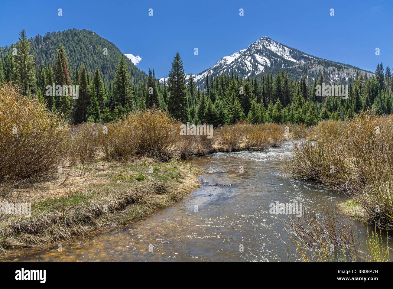 Beautiful mountain peaks tree hi-res stock photography and images - Alamy