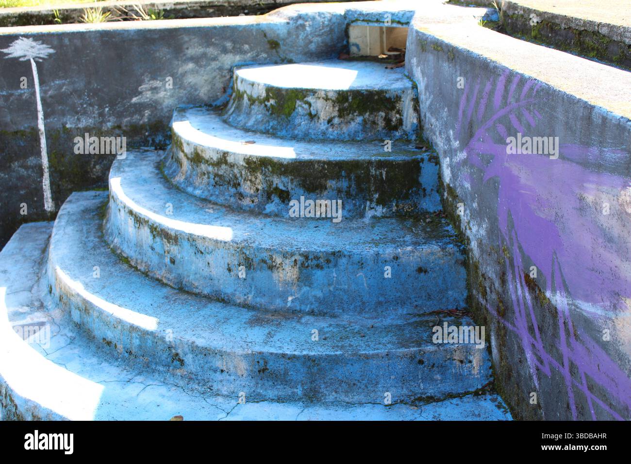 pictures of an abandoned pool, empty pool with drawings and paintings ...