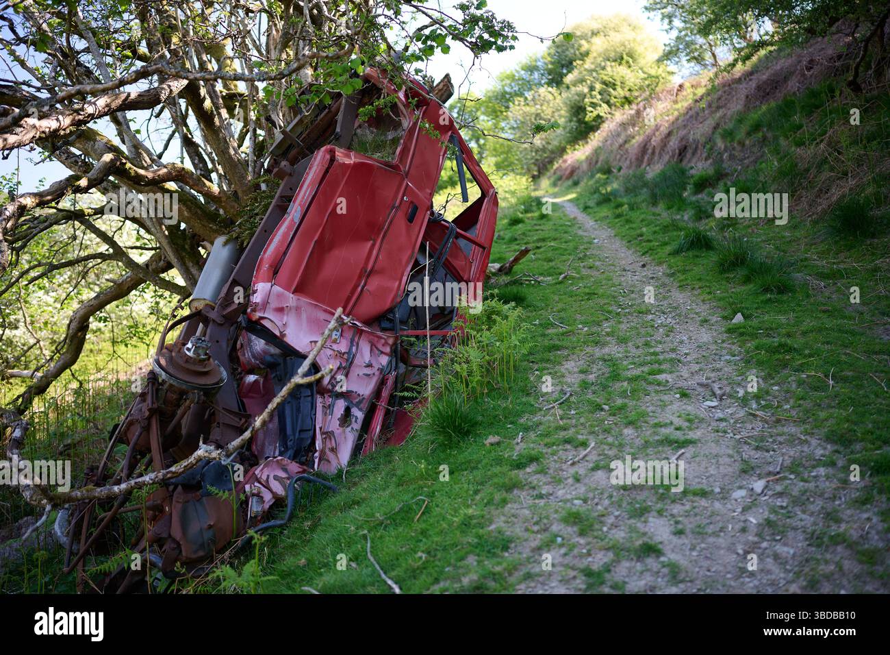 abandoned crashed red car overturned by side of track in a tree in ...