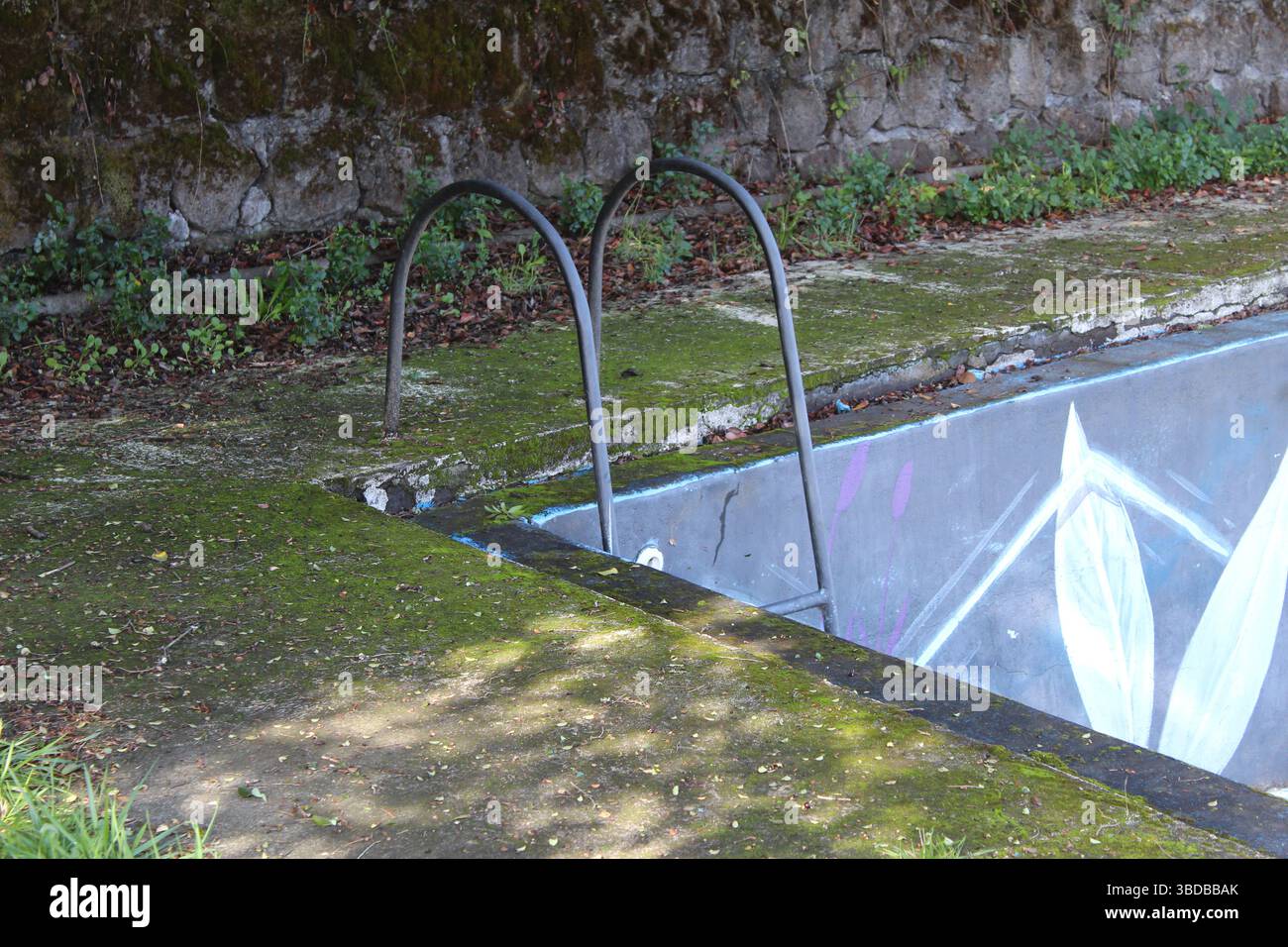 pictures of an abandoned pool, empty pool with drawings and paintings ...