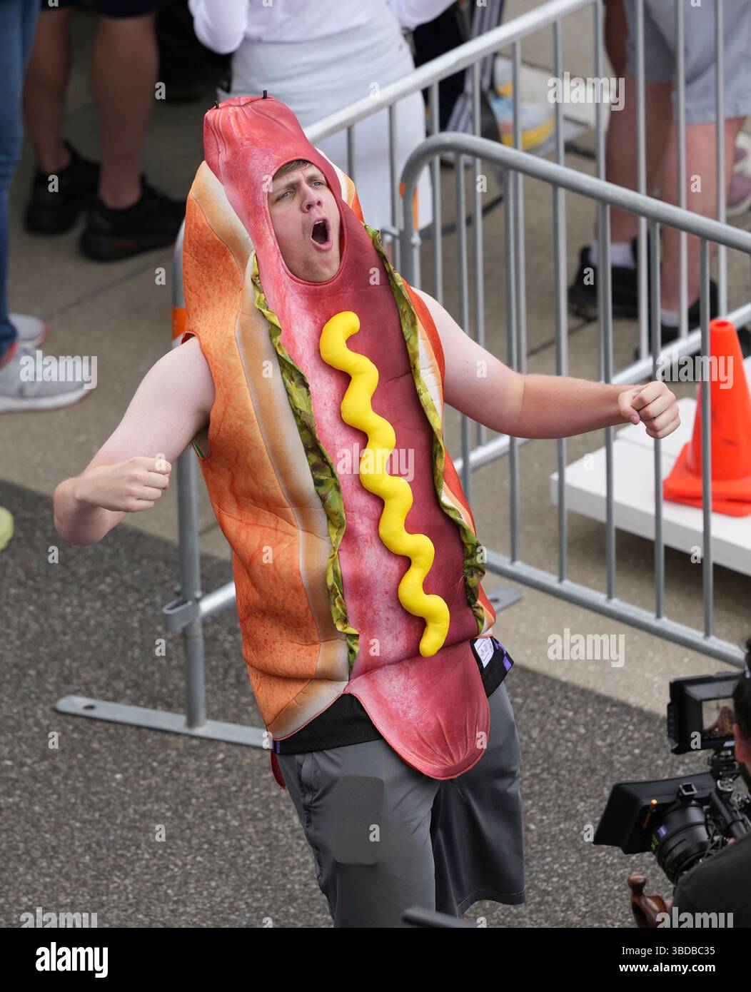 INDIANAPOLIS, IN - MAY 23: A fan cheers during the Weinie 500 during ...