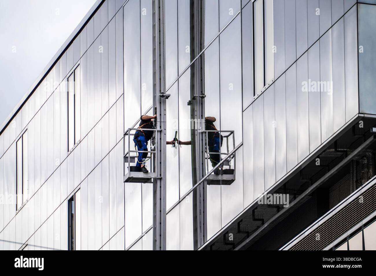 Window cleaner, facade cleaning, window cleaning, on a glass facade in ...