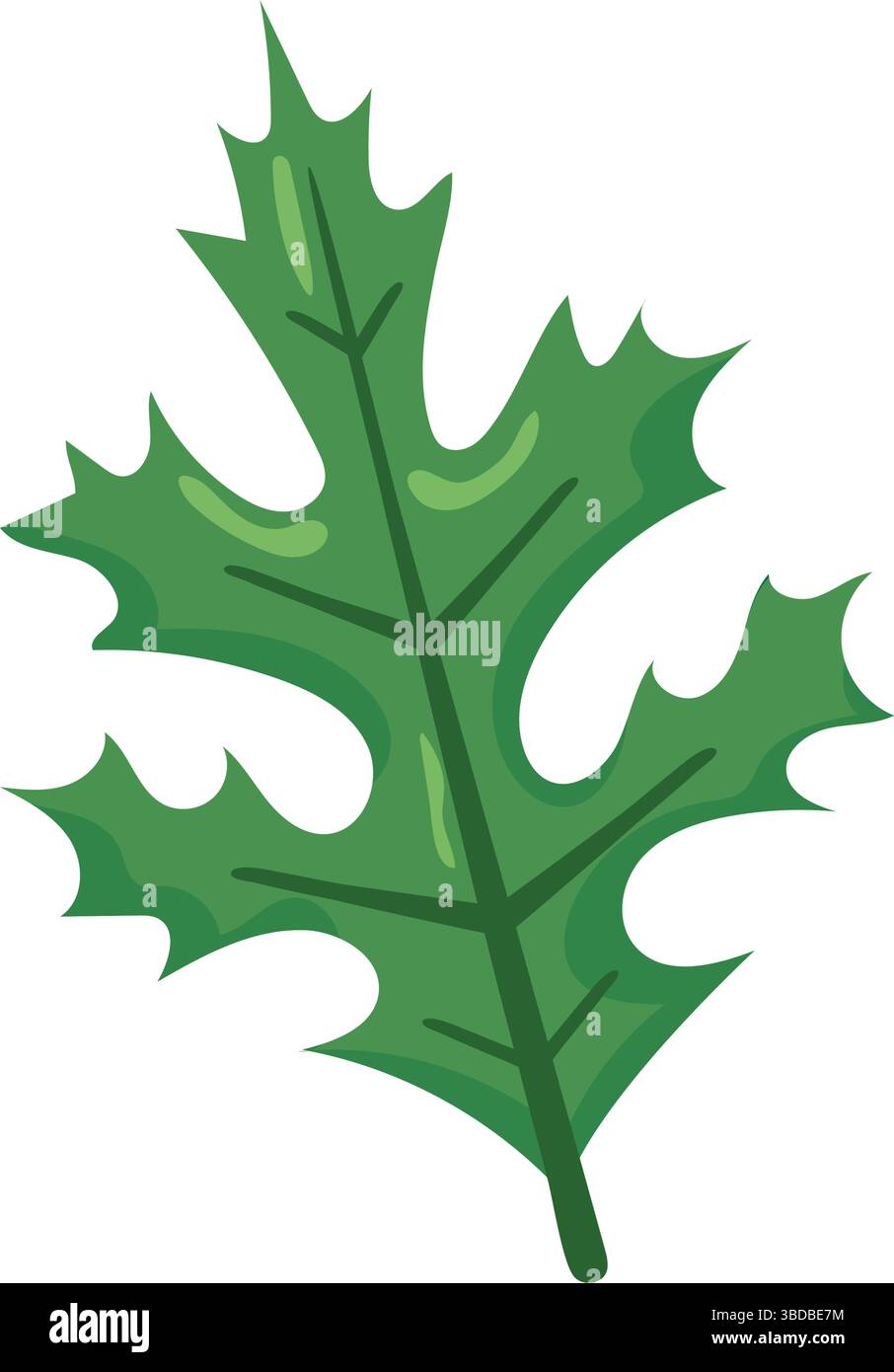Green spiky holly leaf. Vector Stock Vector Image & Art - Alamy