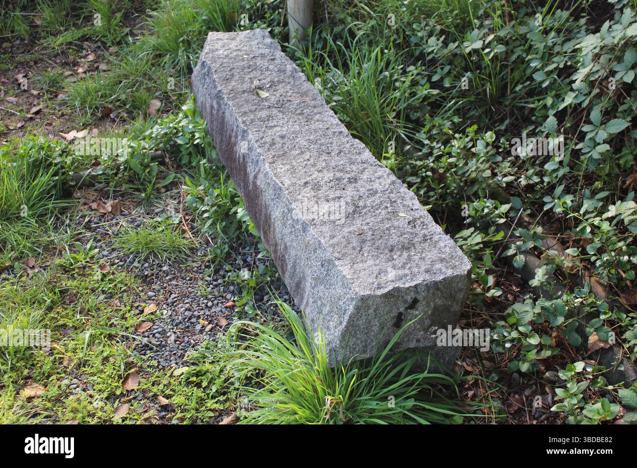 Stone bench and table in the nature, abandoned objects, nature winning ...