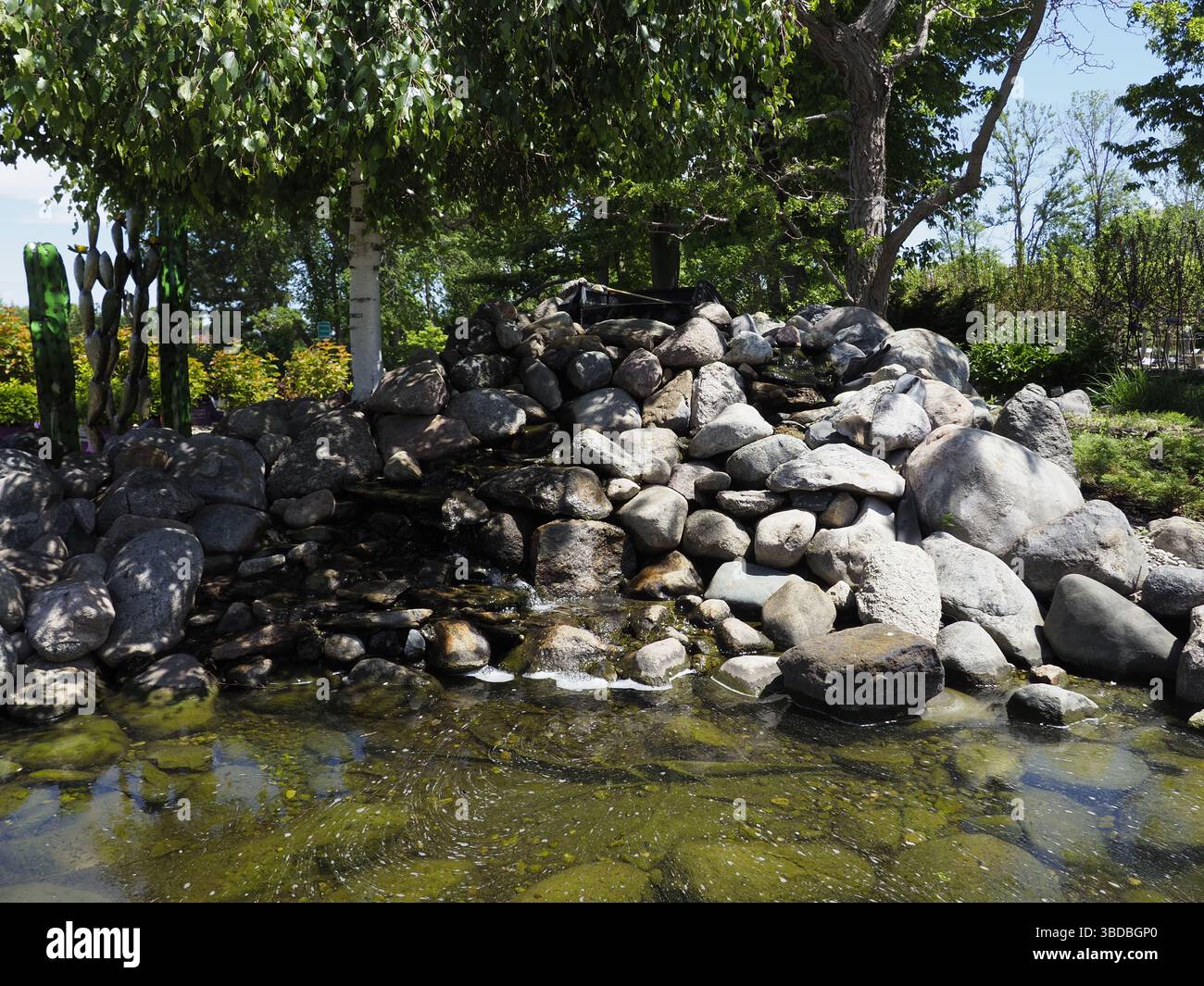 Green trees reflected in camera hi-res stock photography and images - Alamy