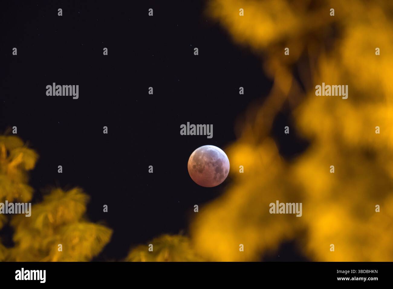 Stunning Lunar Eclipse Over Valencia Night Sky Stock Photo - Alamy