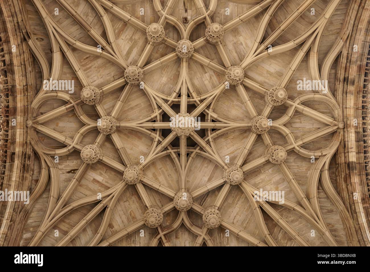 Gothic vault ceiling hi-res stock photography and images - Alamy