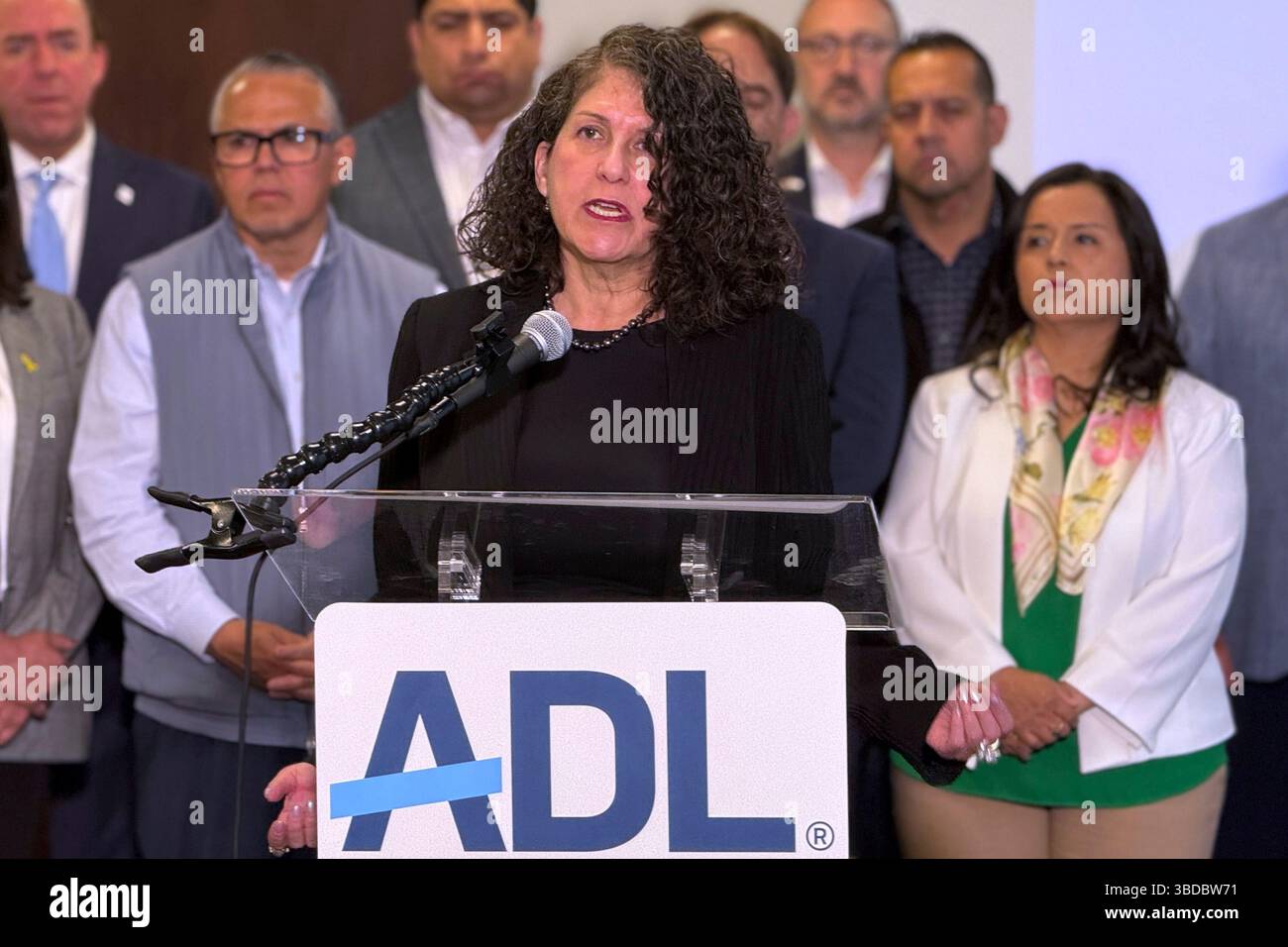 Beth Ida Stern, interim director of the American Jewish Committee (AJC ...