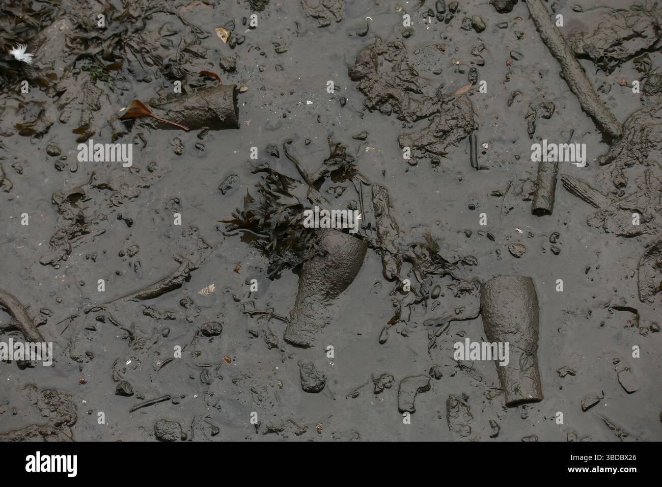 Dublin, Ireland - 23rd May 2025 - Discarded pint glasses lying in the ...