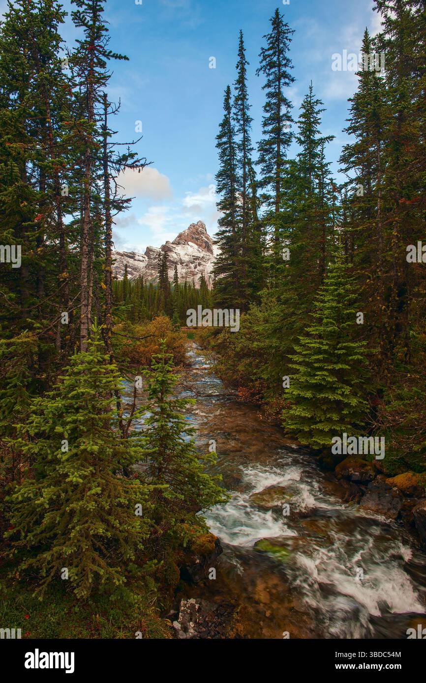 Cataract brook flows lake hi-res stock photography and images - Alamy