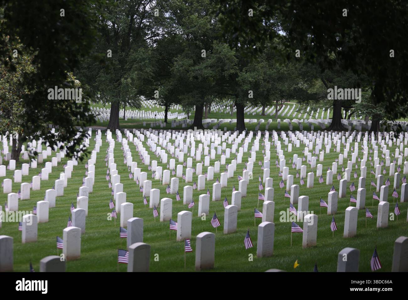 US flags at Arlington National Cemetery in Arlington, Virginia, USA ...