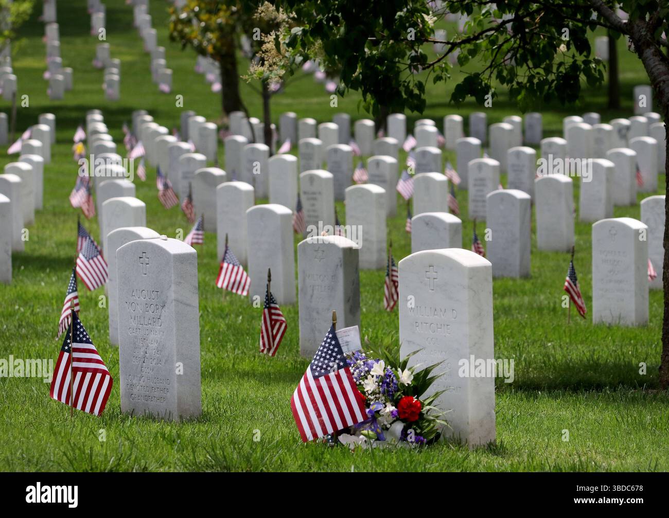 US flags at Arlington National Cemetery in Arlington, Virginia, USA ...