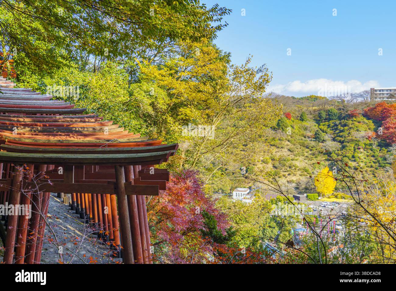 Torii gates line the path leading up the hill behind the main hall of ...