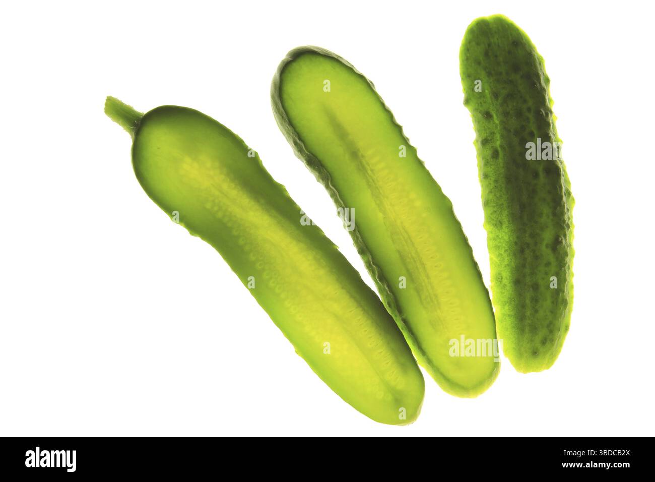 Cucumbers (Cucumis sativus), partially cropped, isolated in front of ...