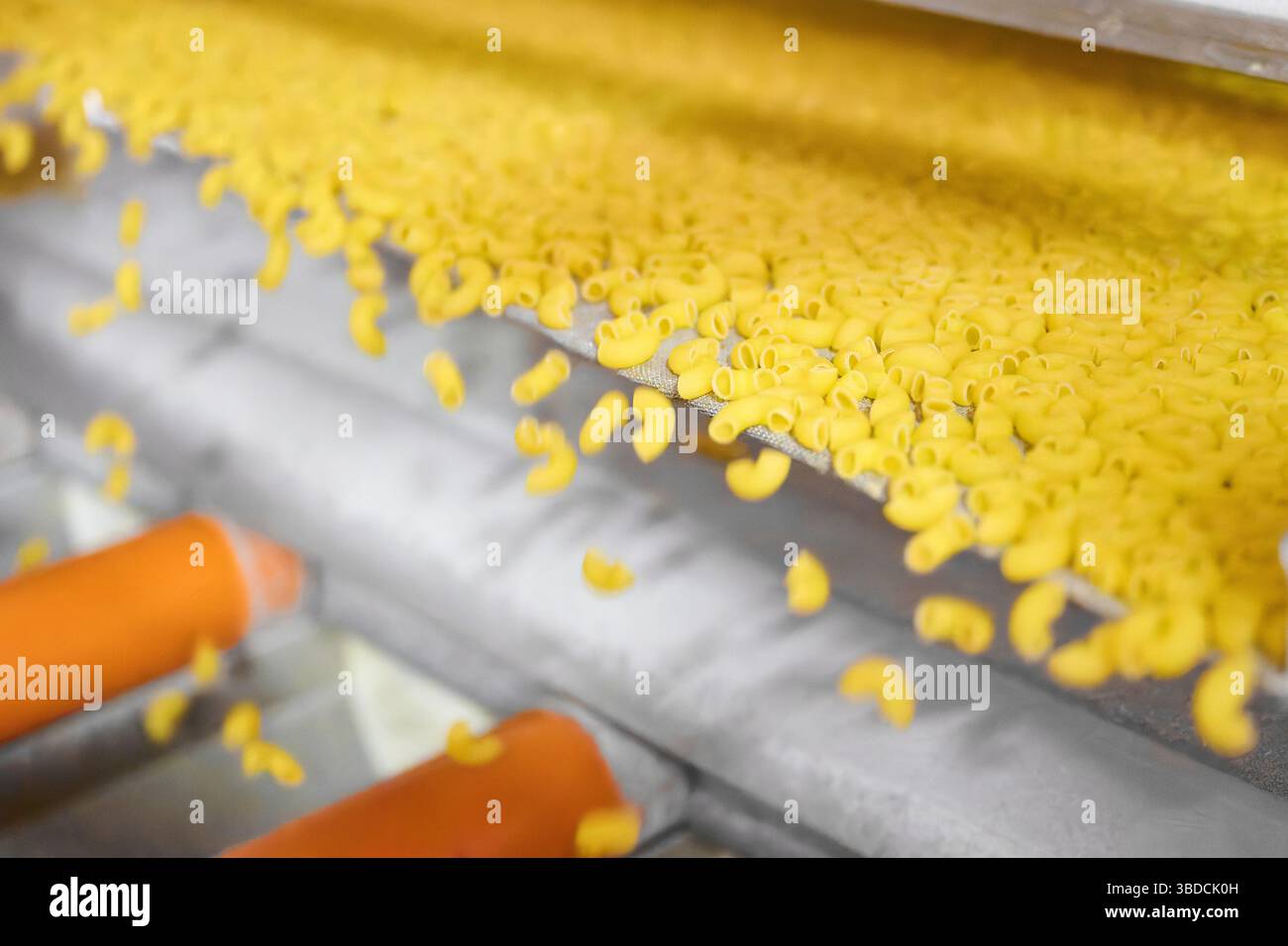Pasta flows through conveyor belts in a bustling manufacturing plant ...
