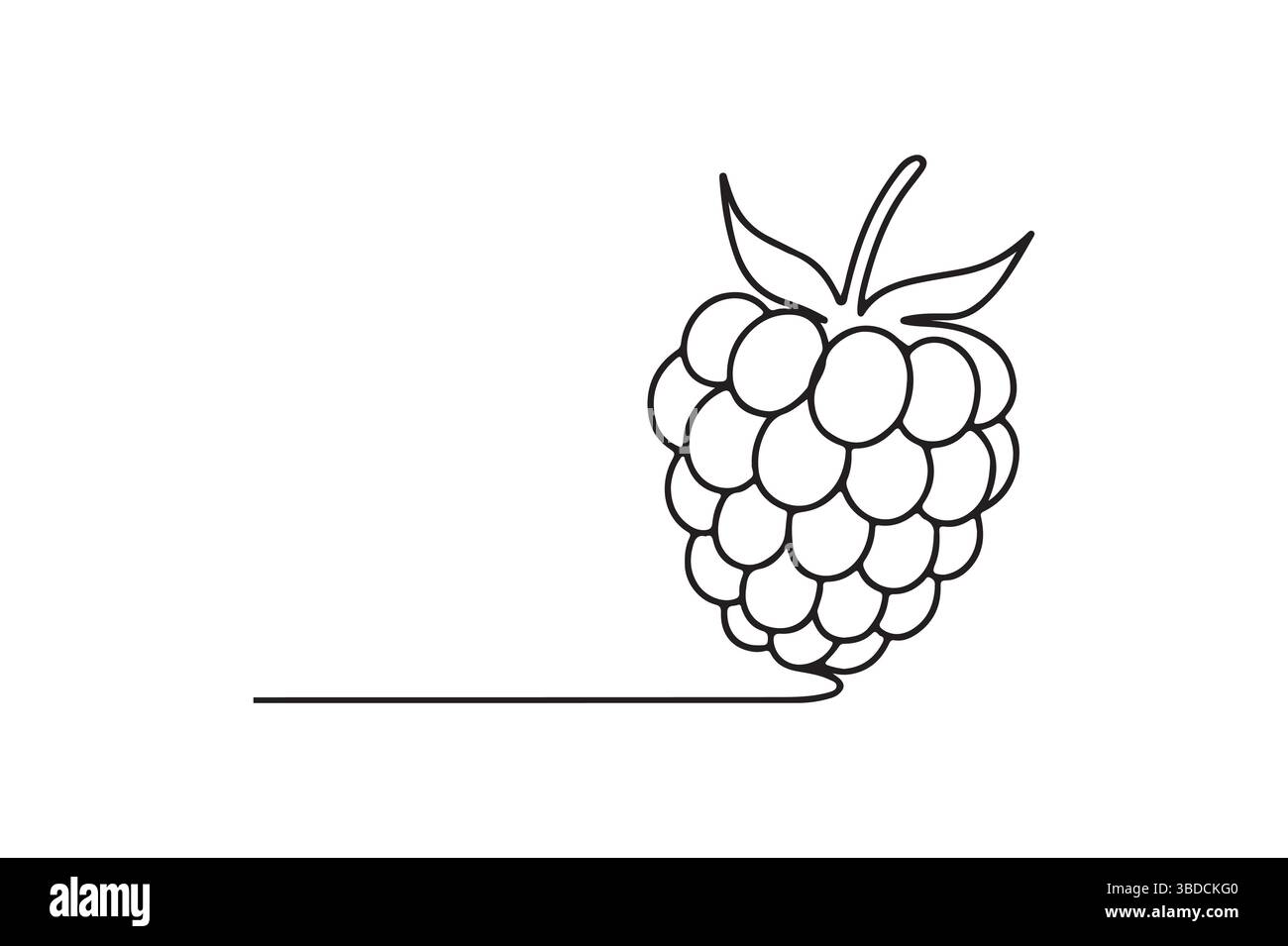 Raspberry Clip Art Black And White