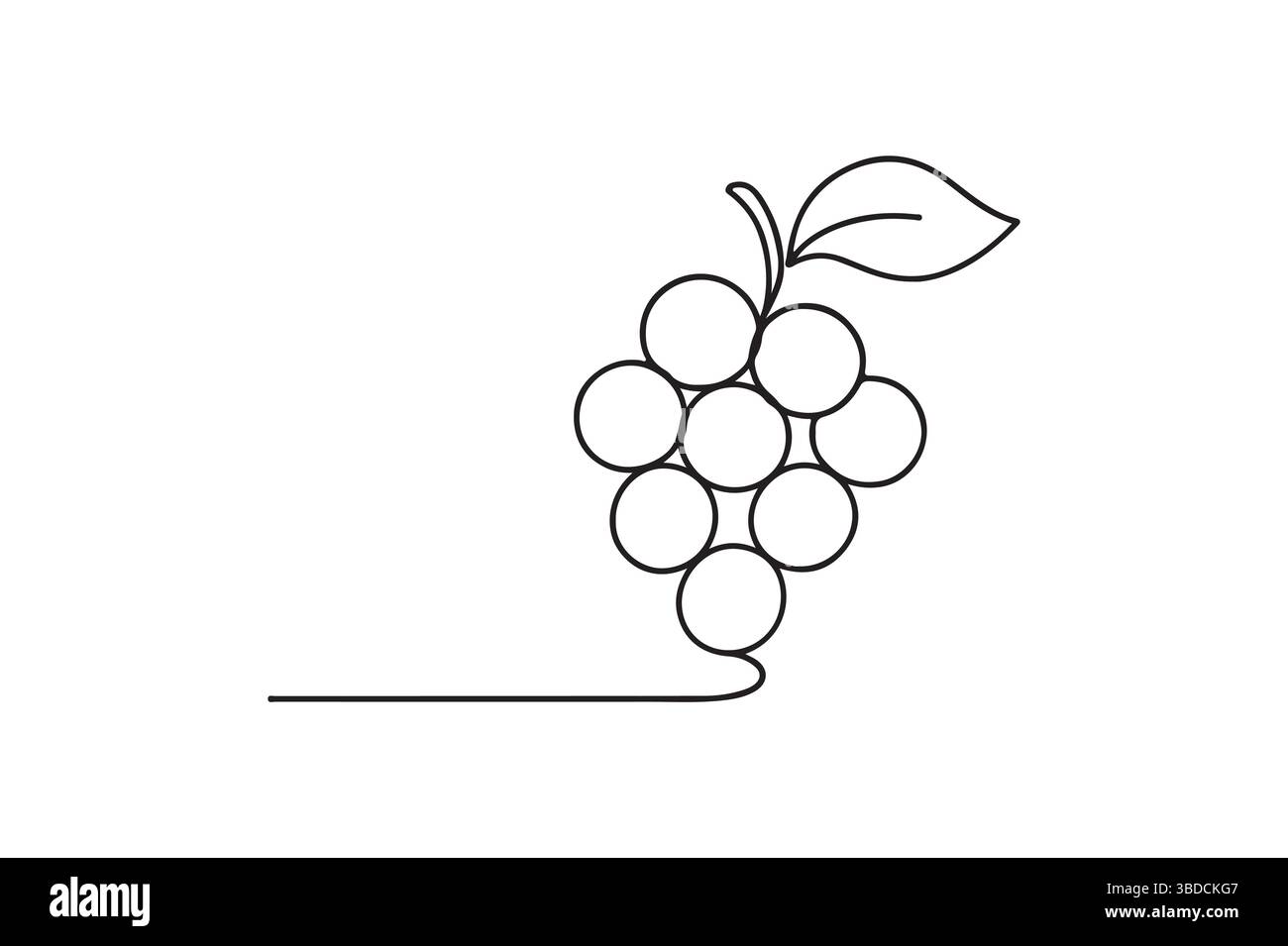 Realistic drawing of vineyard Stock Vector Images - Alamy