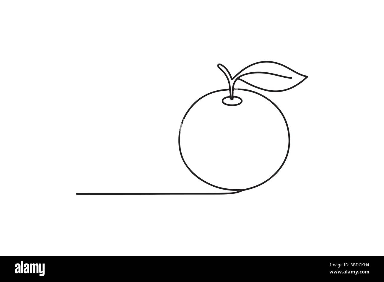Fruit line drawing hi-res stock photography and images - Alamy