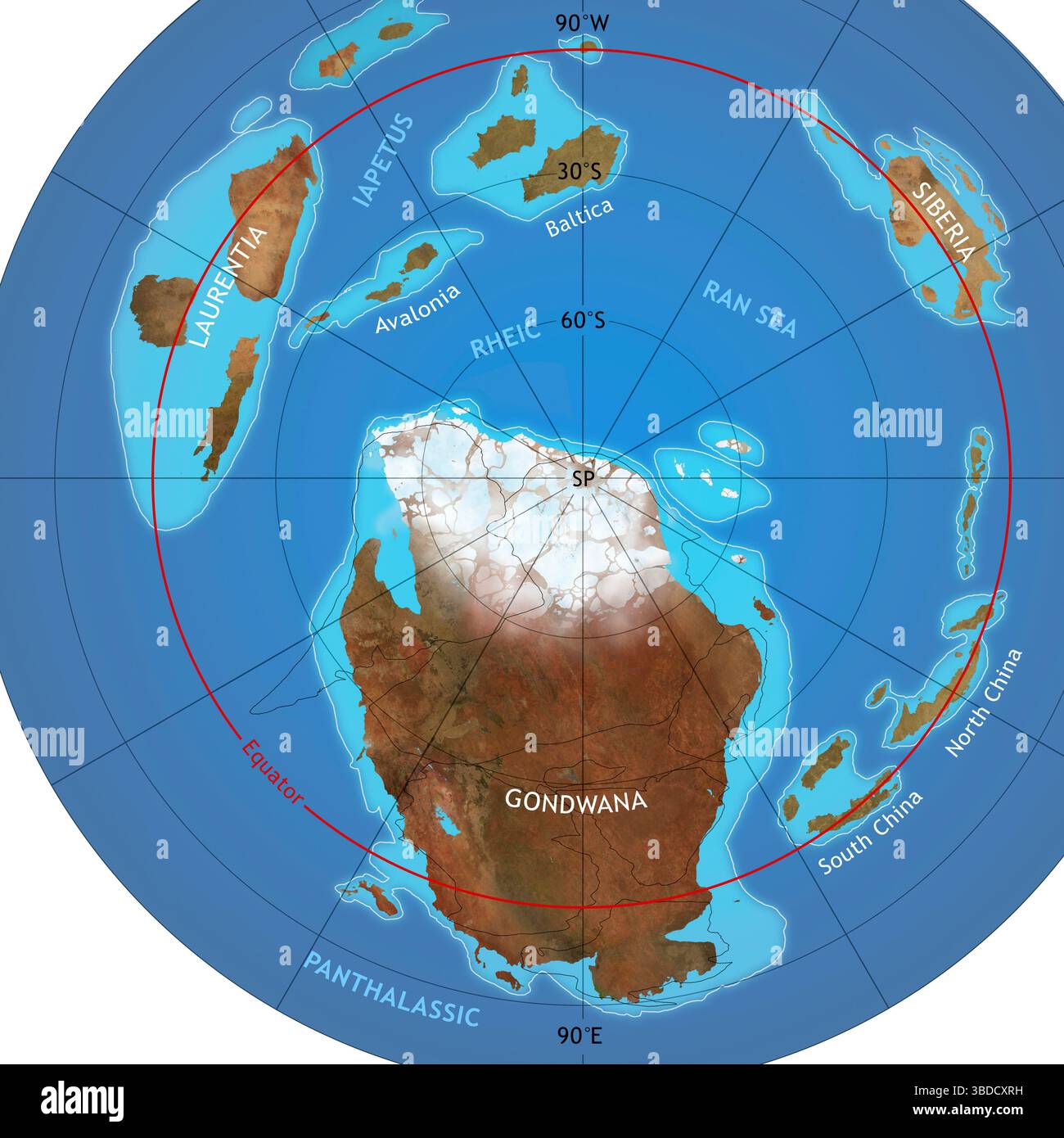 Artwork showing a map of the south polar regions of Earth during the late Ordovician Period (480 ...