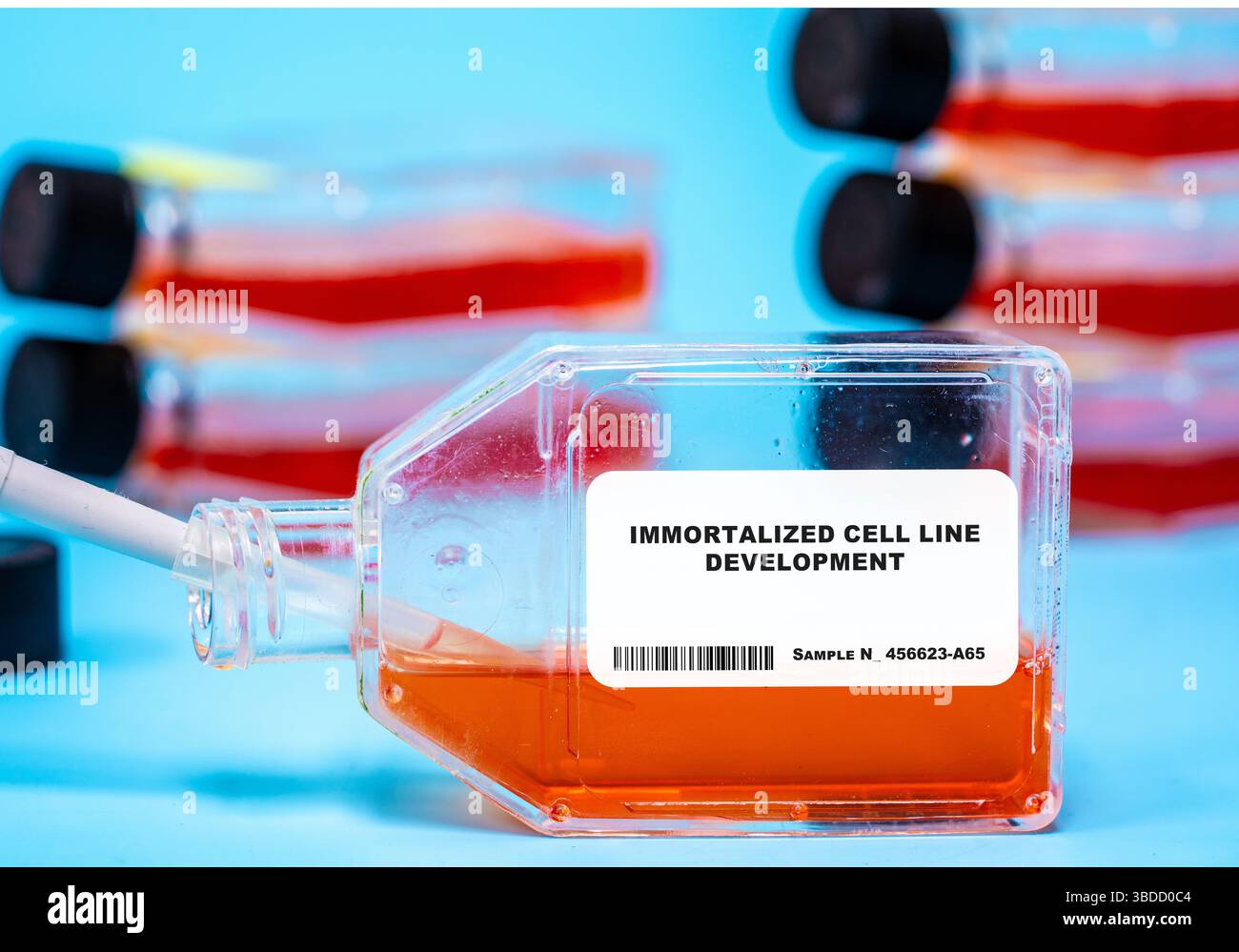 Immortalised cell line development. Creating cell lines that ...