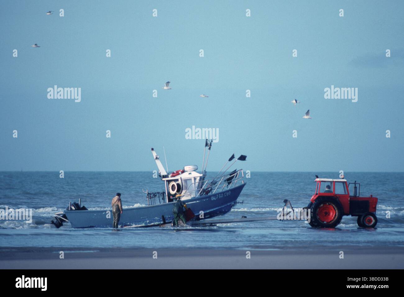 Tractor pulling fishing boat on trailer, Cote d'Opale, France, Tractor ...