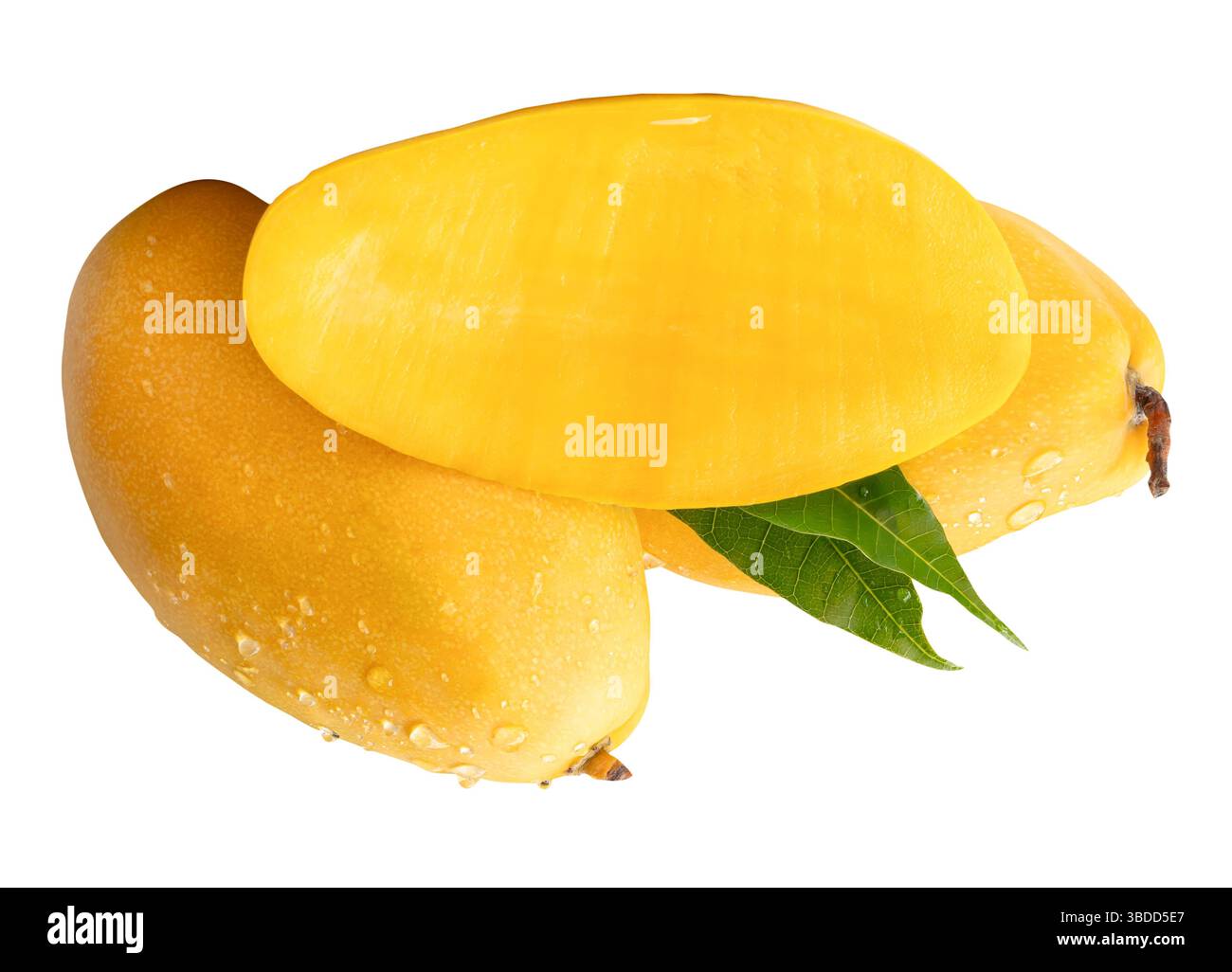 Two bright leaves in Cut Out Stock Images & Pictures - Alamy