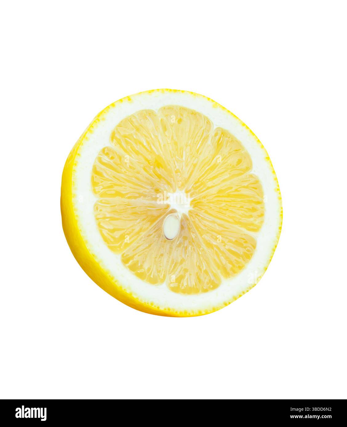 Front view of ripe yellow lemon fruit in one slice in circle with seed ...