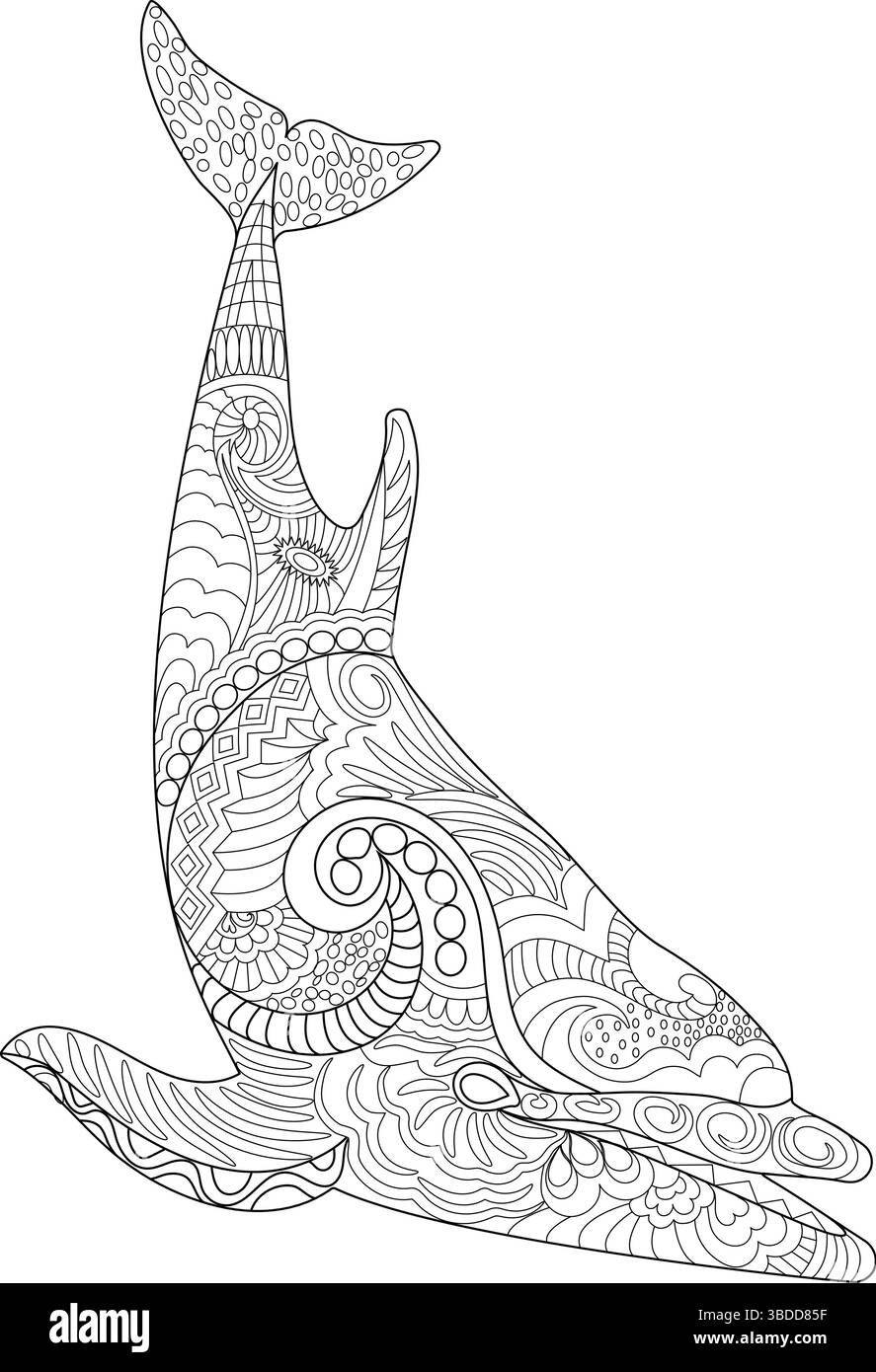 An intricate black and white illustration of a dolphin standing on its ...