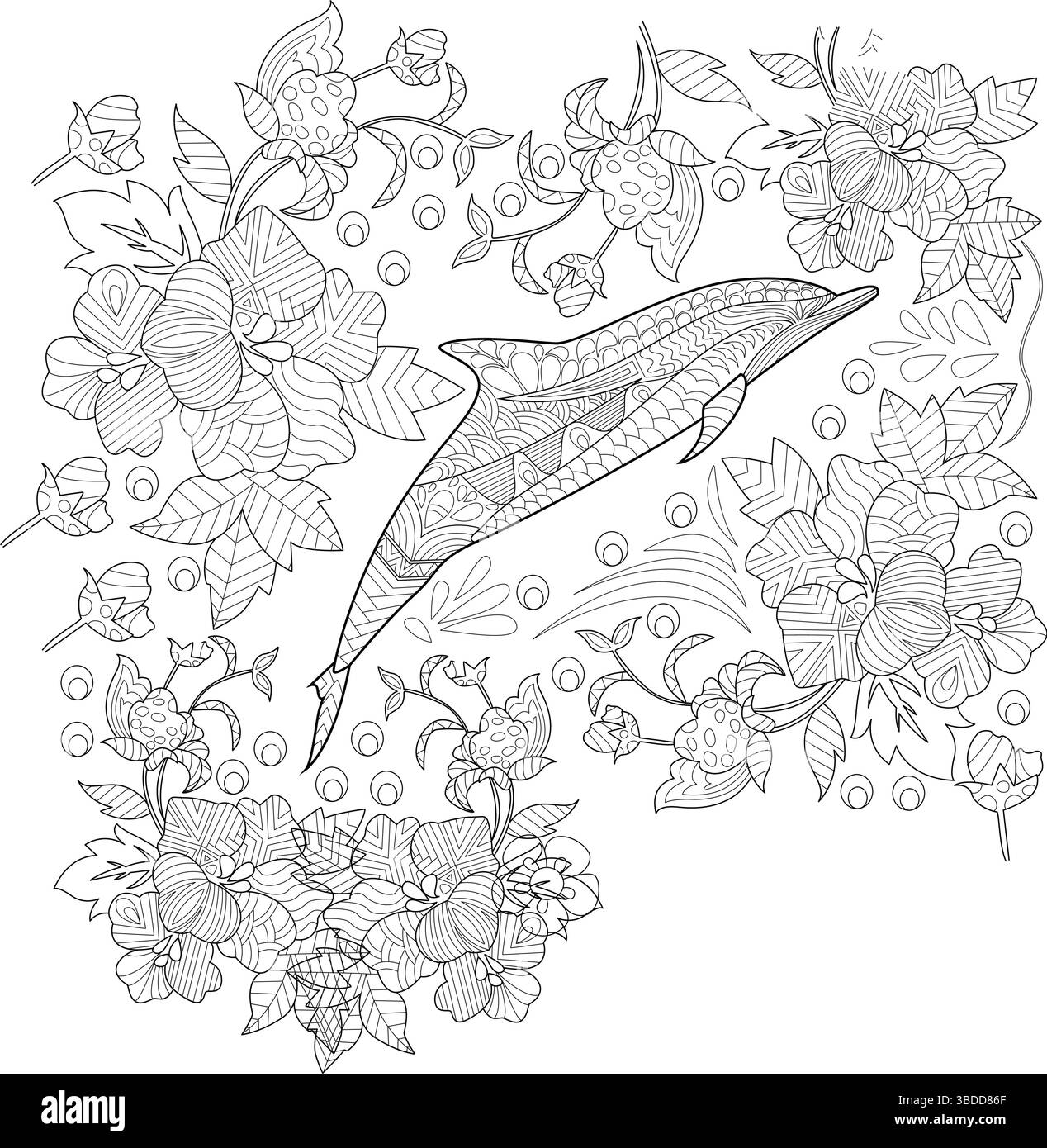 Detailed black and white line art illustration featuring a dolphin ...