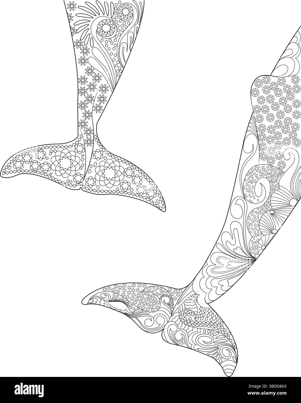 Tails patterns Black and White Stock Photos & Images - Alamy