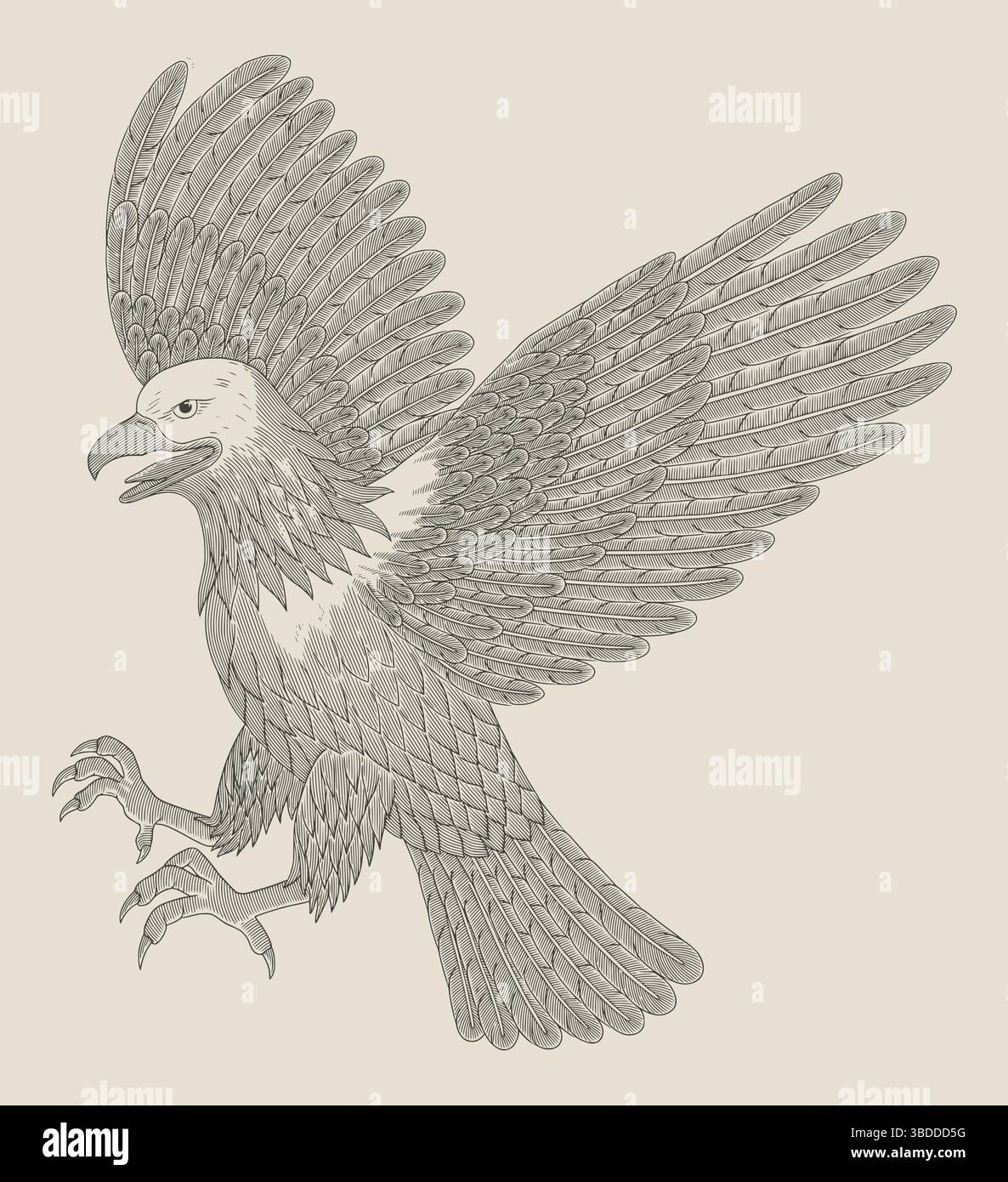 Bald eagle attacking on the sky, Vintage engraving drawing style vector ...