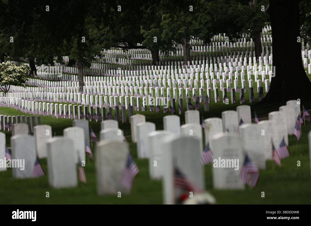 US flags at Arlington National Cemetery in Arlington, Virginia, USA. US ...