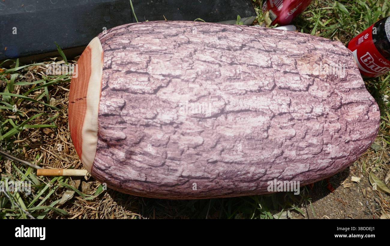 Los Angeles, California, USA 22nd May 2025 Director David Lynch Grave ...