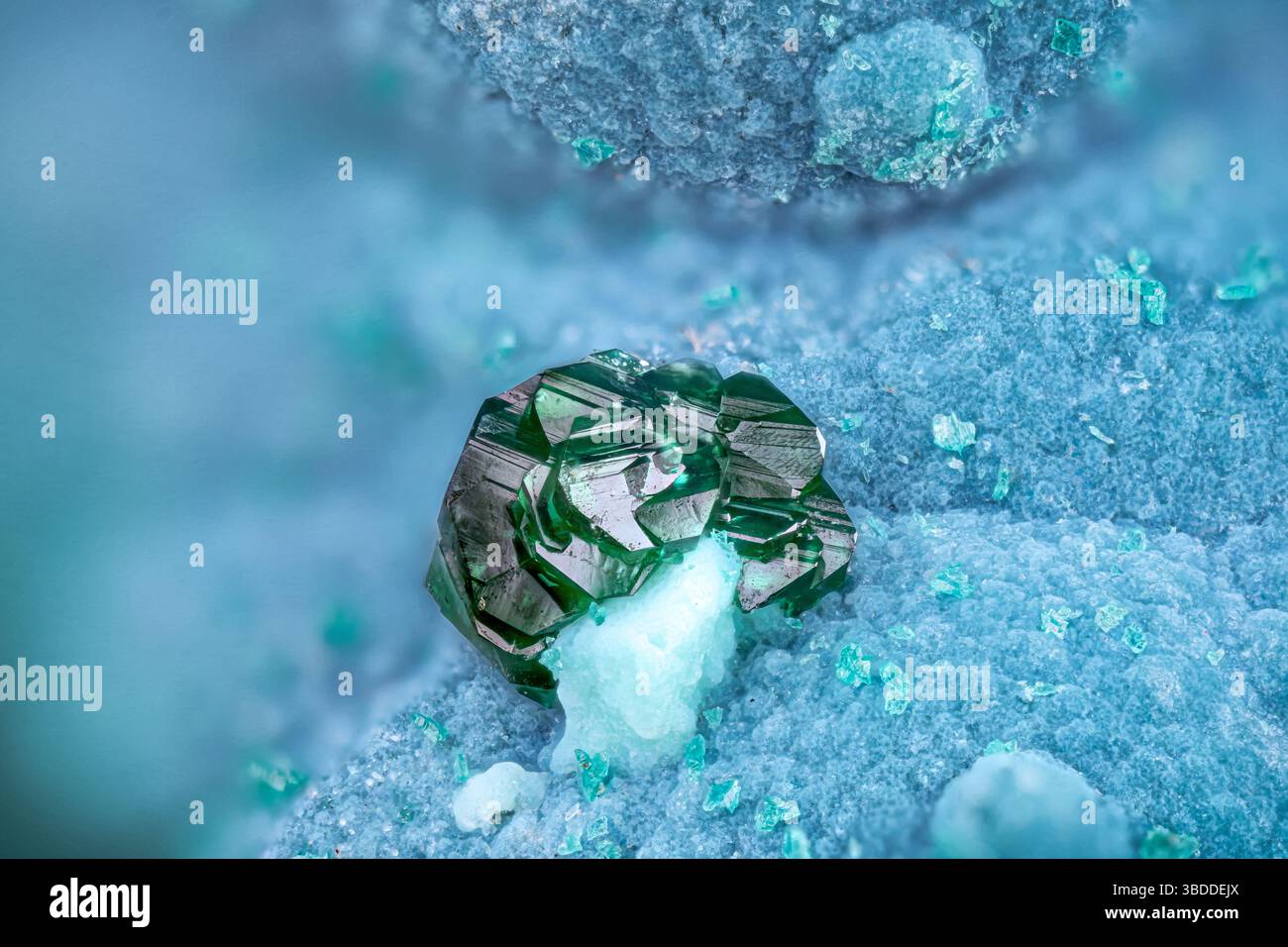 Green Malachite on blue Shattuckite. Specimen from Mashamba mine, DR ...
