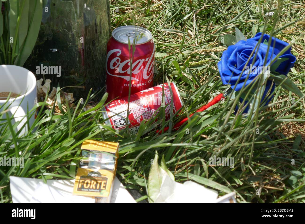 Los Angeles, California, USA 22nd May 2025 Director David Lynch Grave ...