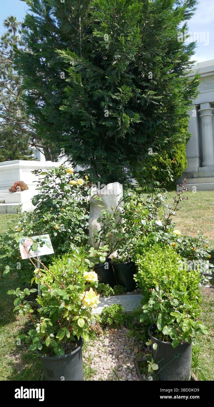 Los Angeles, California, USA 22nd May 2025 Actress Valerie Harper Grave ...
