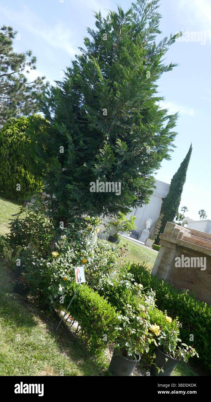 Los Angeles, California, USA 22nd May 2025 Actress Valerie Harper Grave ...