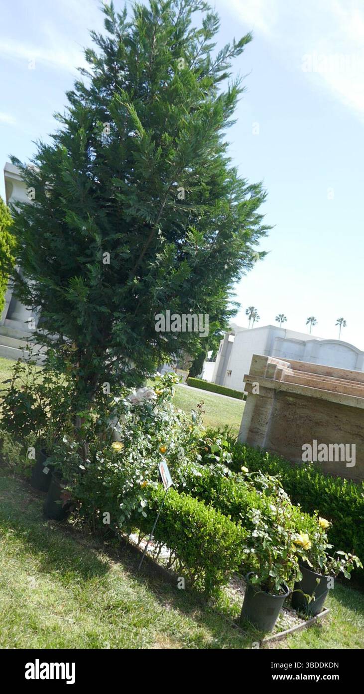 Los Angeles, California, USA 22nd May 2025 Actress Valerie Harper Grave ...