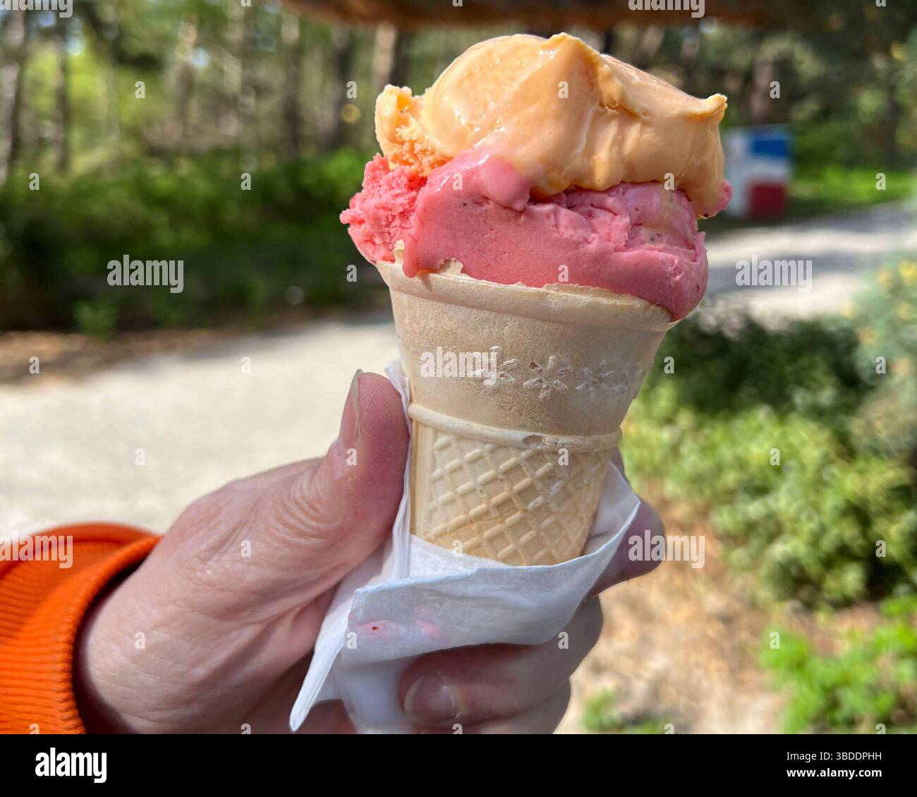 Eine Hand haelt eine Waffel mit Serviette und zwei Kugel Kugeln rot ...