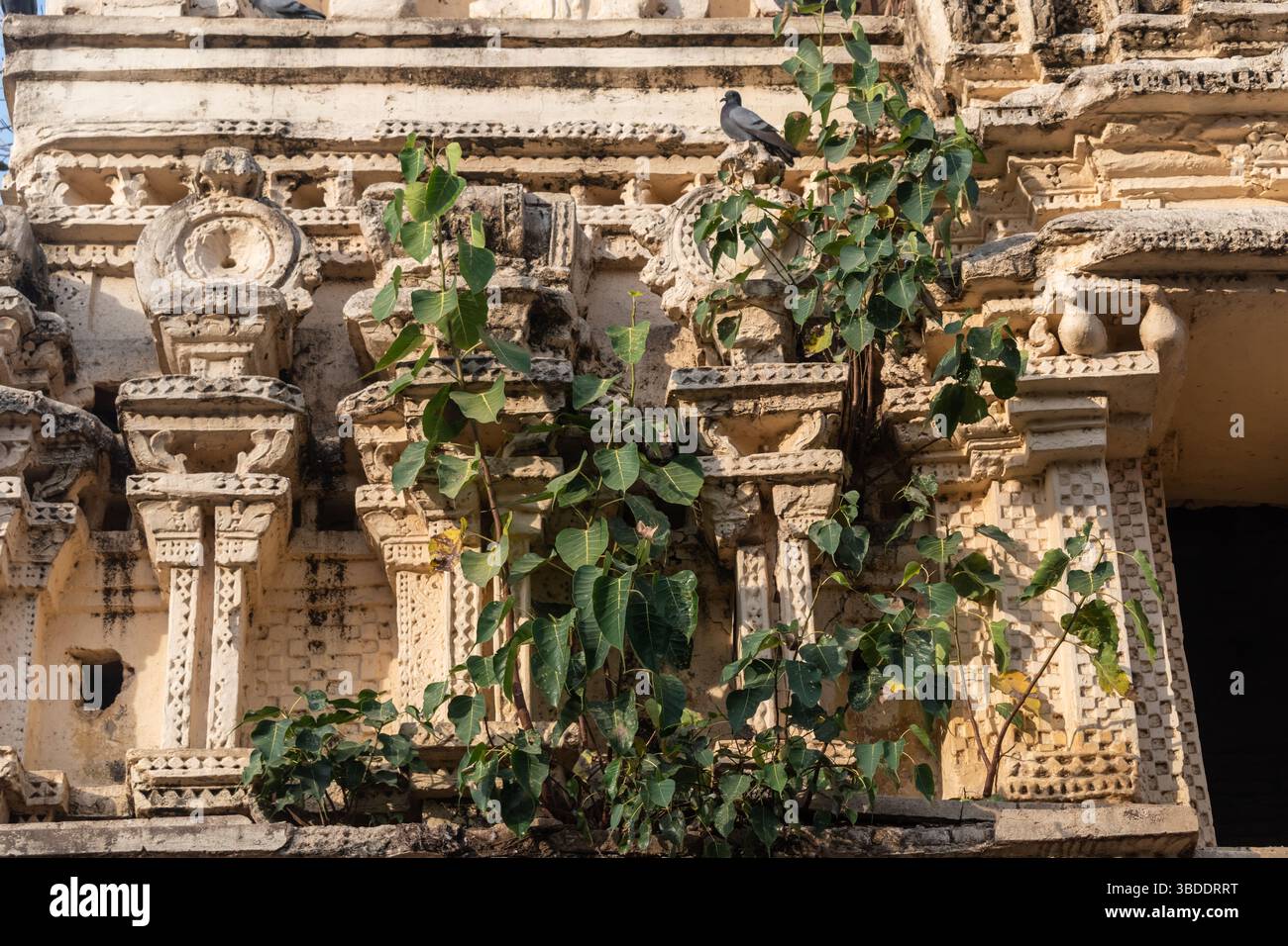 A remarkable display of temple architecture, featuring detailed ...