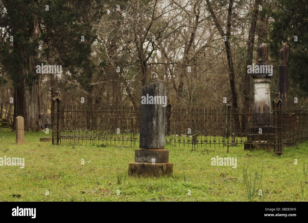 Historic Cemetery in Rural East Texas. Flint TX Stock Photo - Alamy