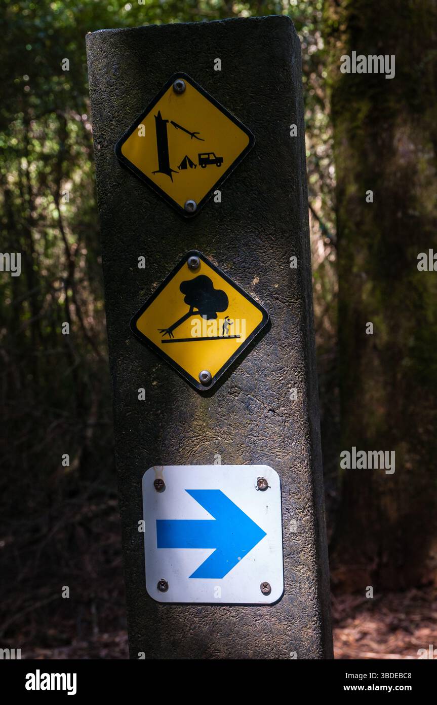 Warning signal trees branches hi-res stock photography and images - Alamy